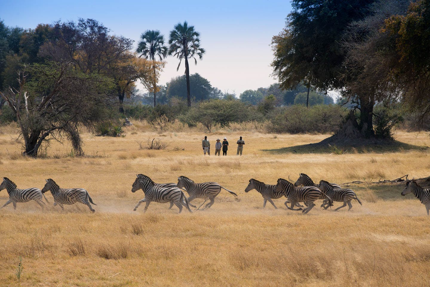 Timbuktu's Guide to an active safari - get your heart pumping