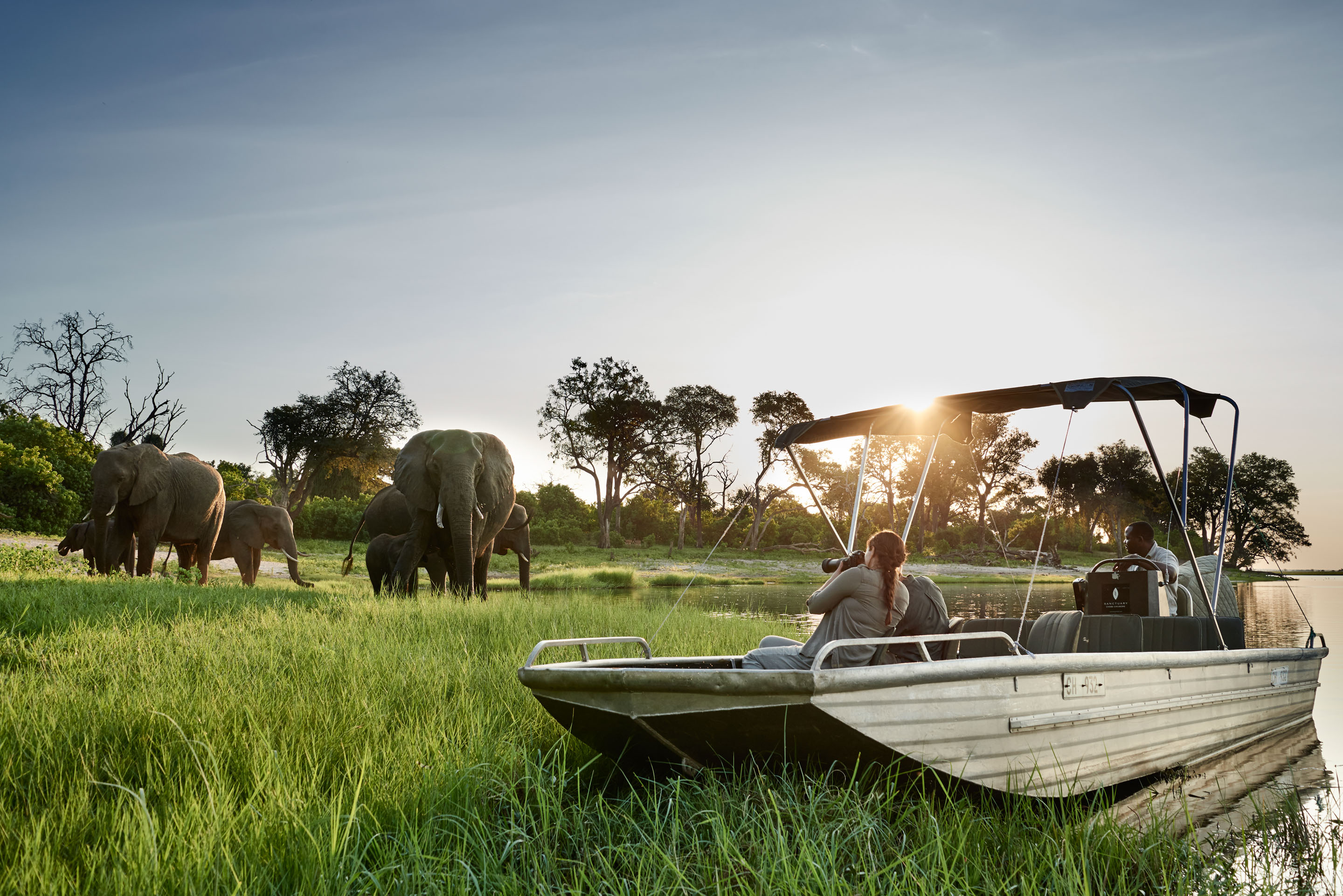 Botswana safari