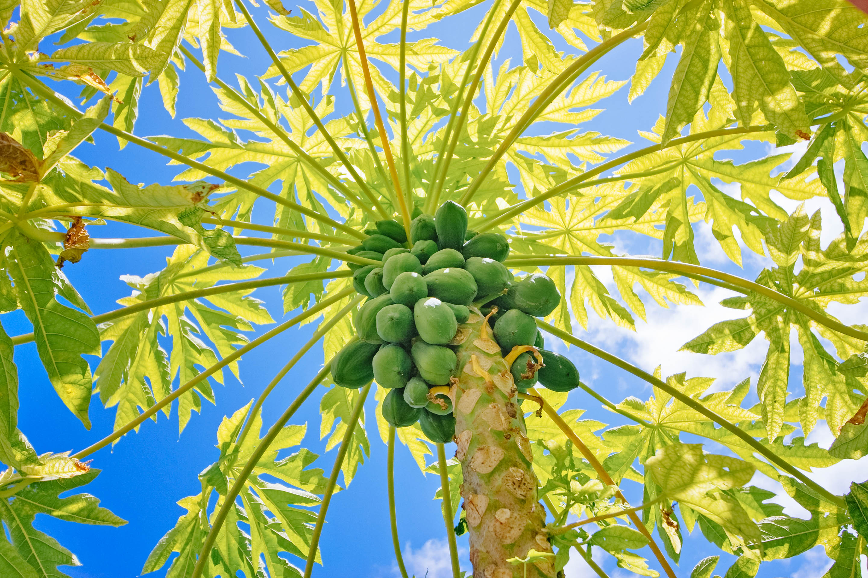 The magnificent Bird Island, Seychelles - Timbuktu Travel