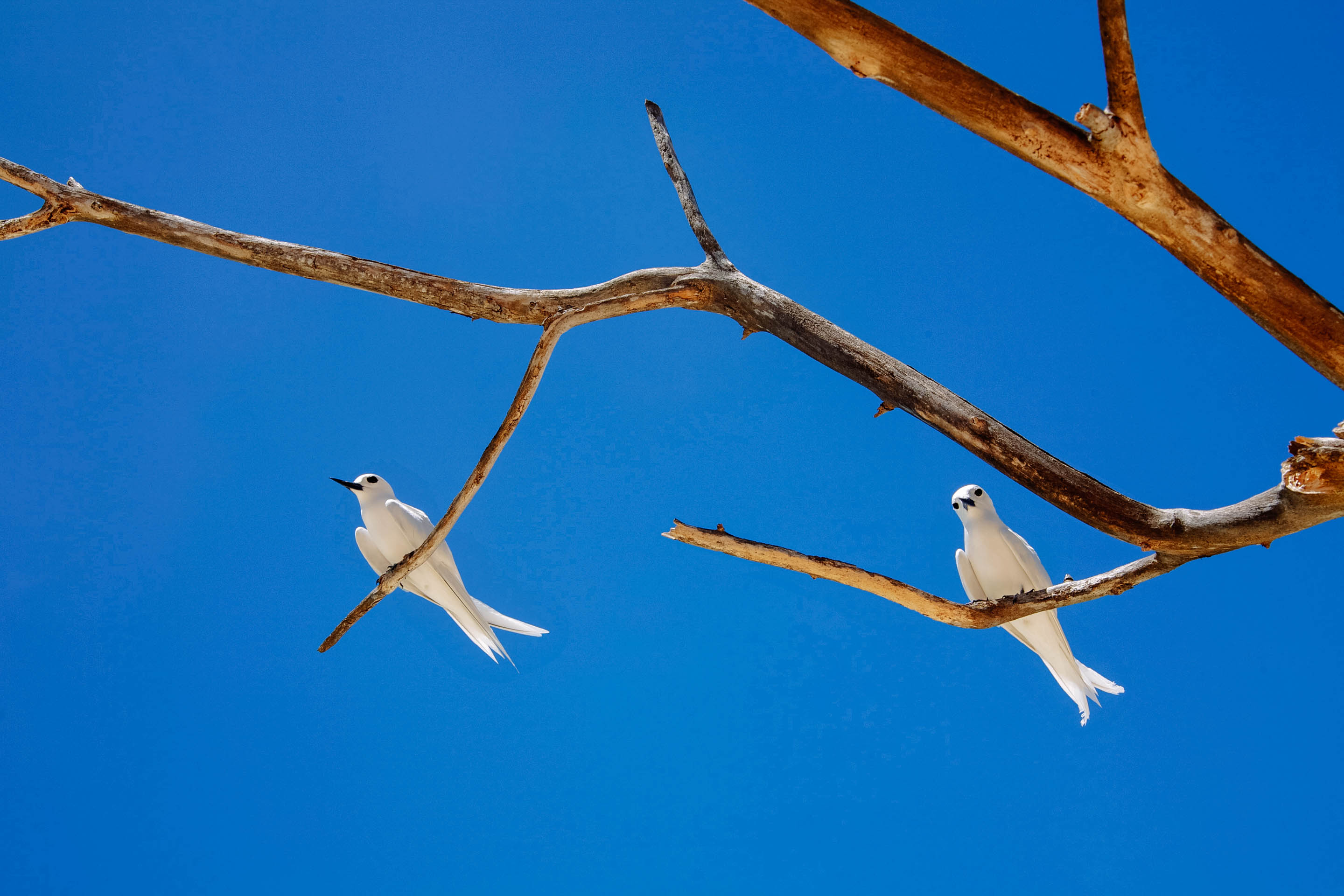 “It’s about 8am in the morning, and I can hear something scratching on ...