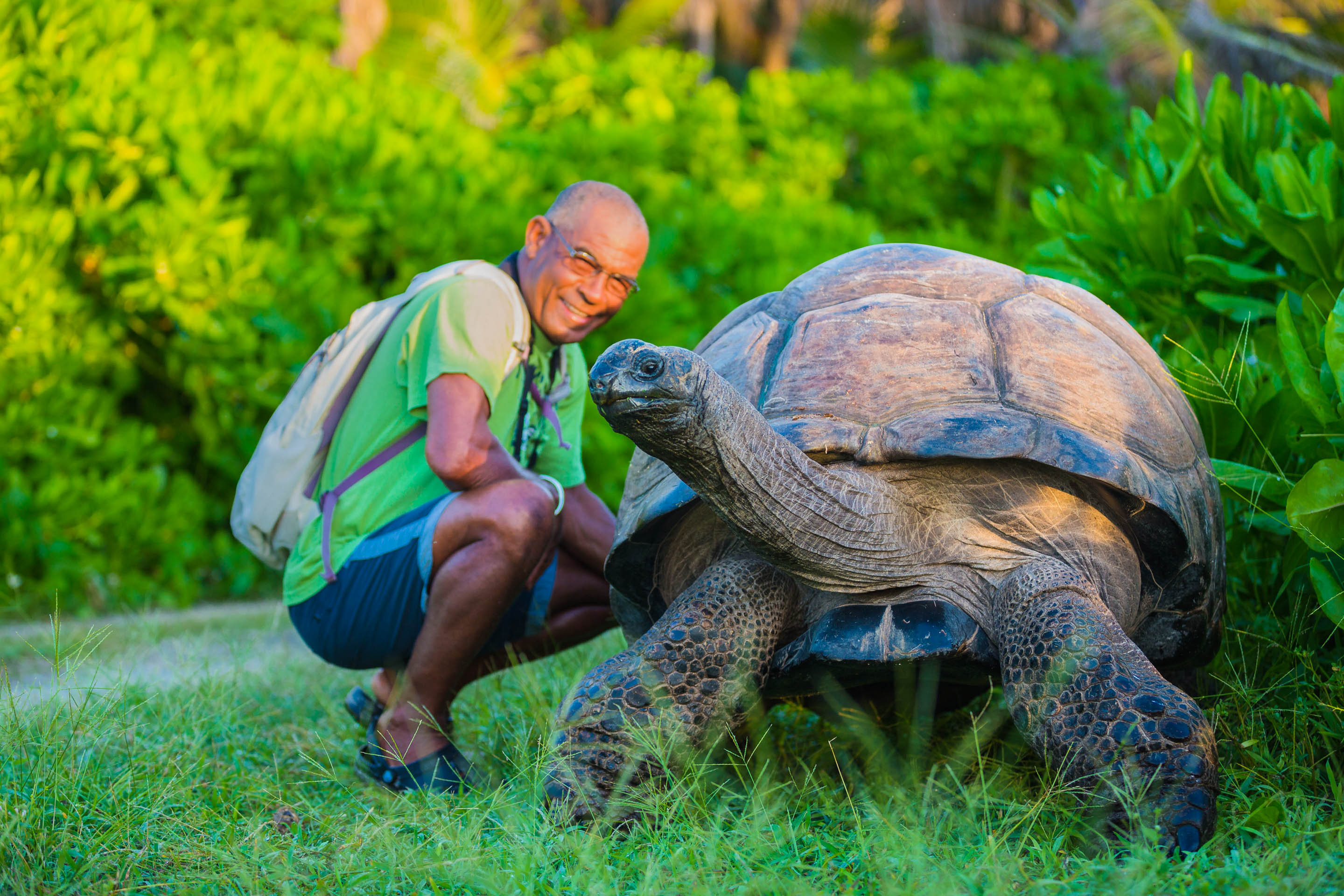 The magnificent Bird Island, Seychelles - Timbuktu Travel