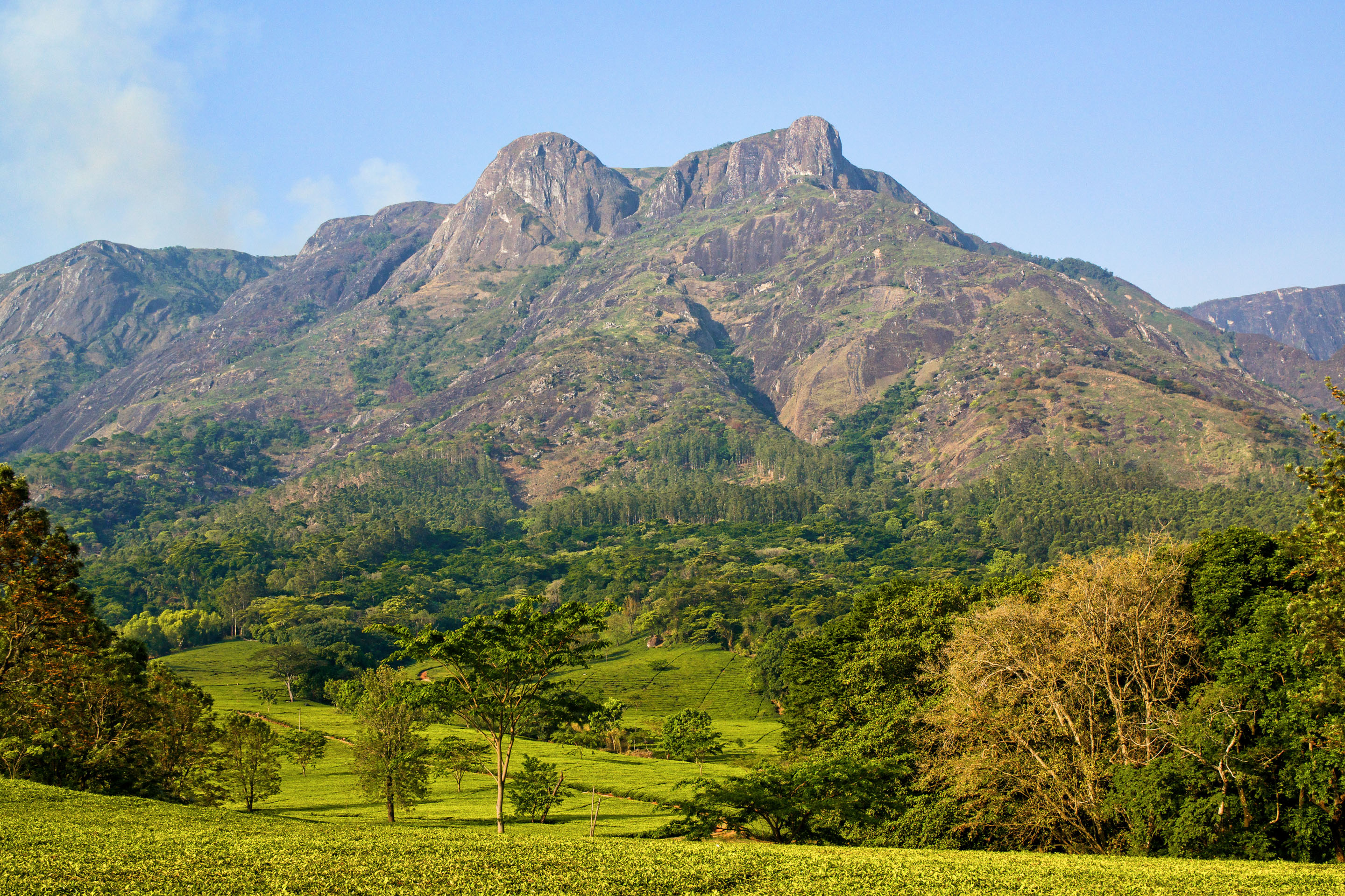 Mount Mulanje - Malawi Travel Guide