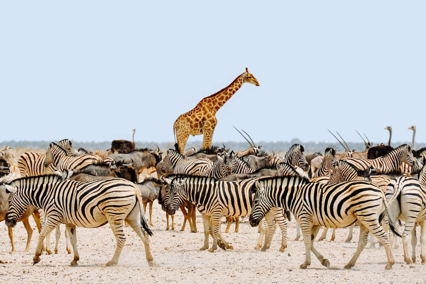 The ultimate Namibia honeymoon guide - Timbuktu Travel