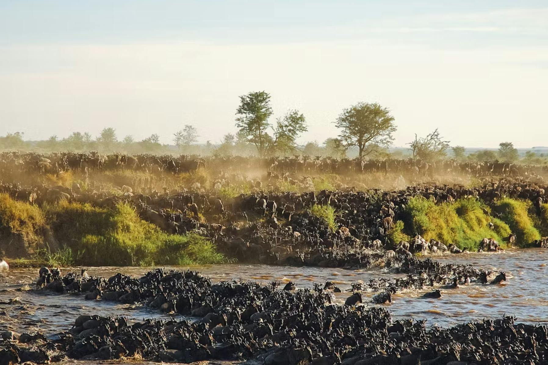 Deciphering the Great Migration in Kenya - Timbuktu Travel Blog