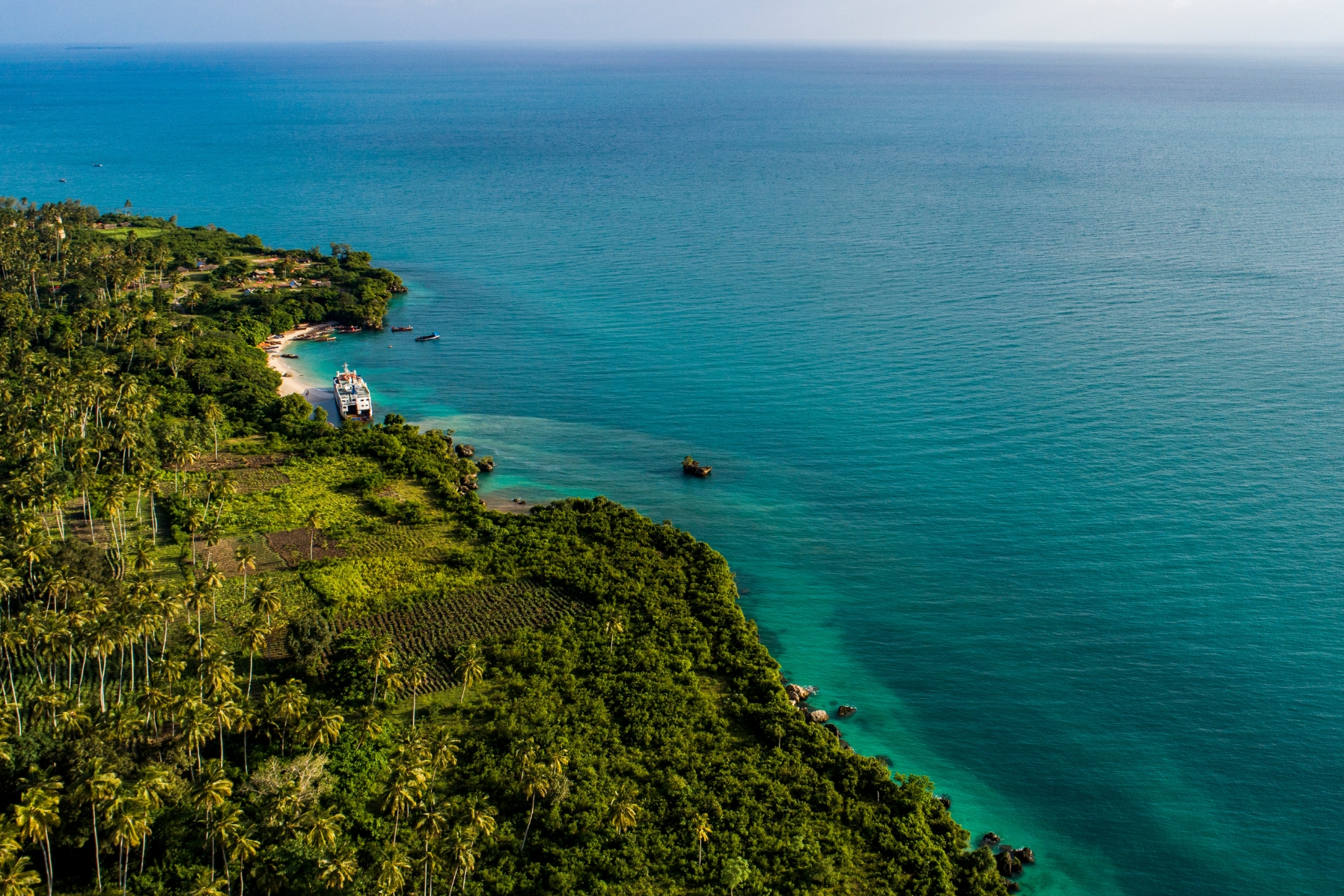 Explore Kenya's Coast - From Safaris to Marine Life | Timbuktu Travel