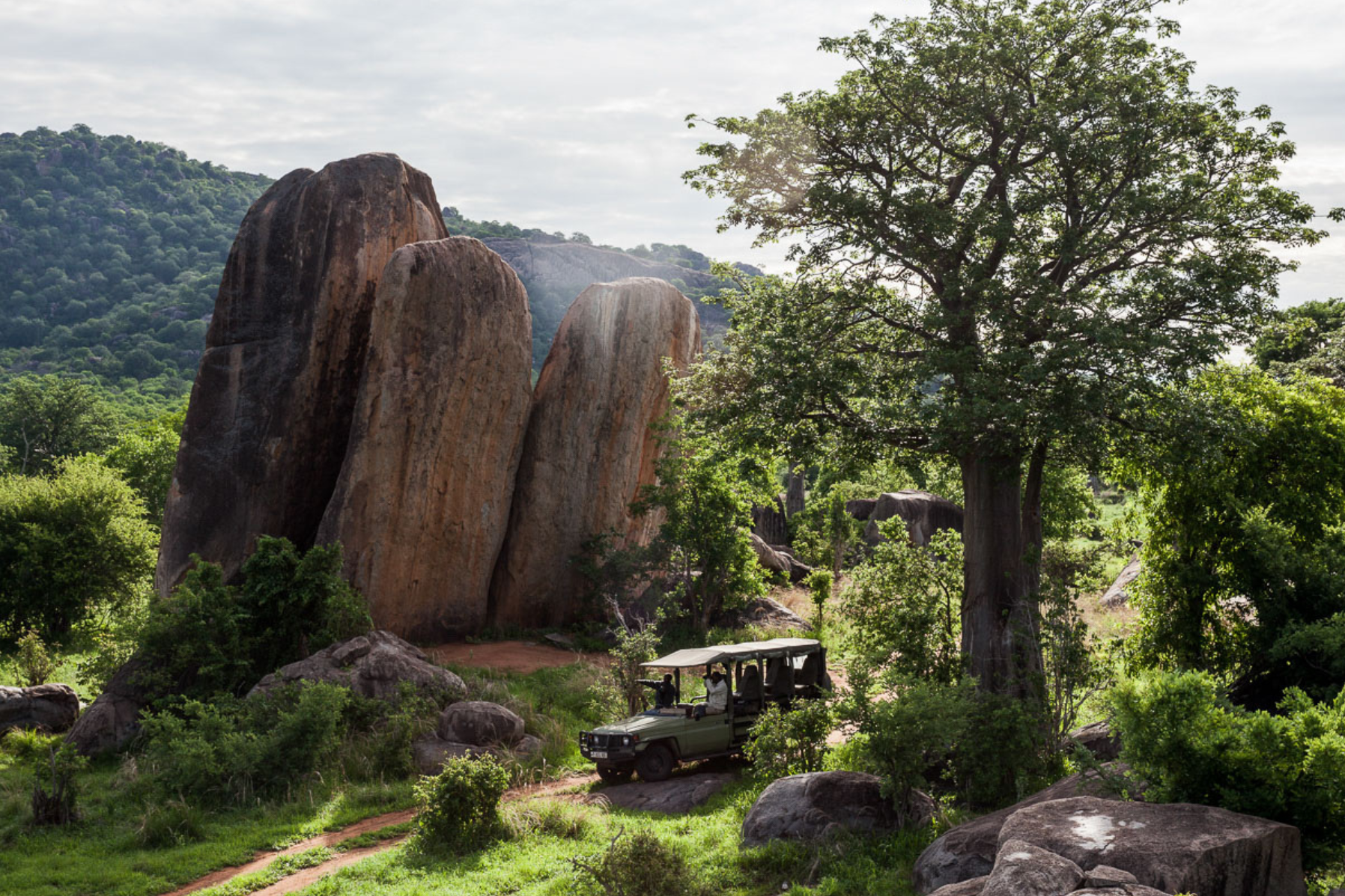 Southern Tanzania safari