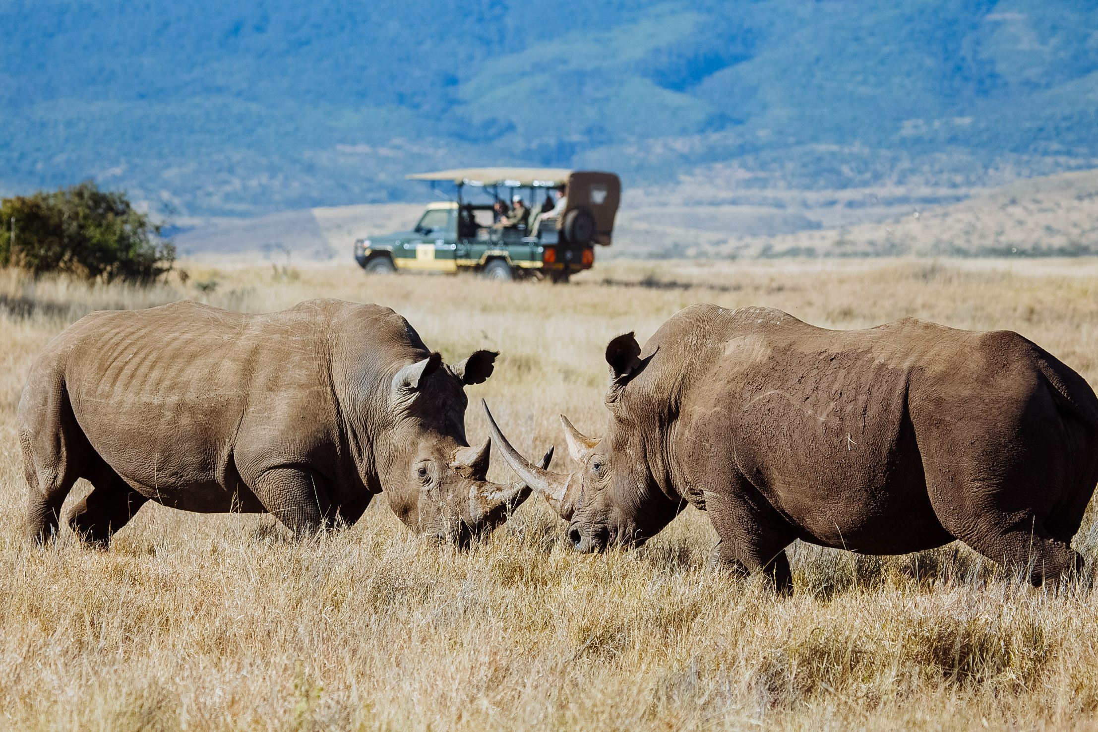 Le Meridien Barbarons Hotel, Seychelles | Timbuktu Travel