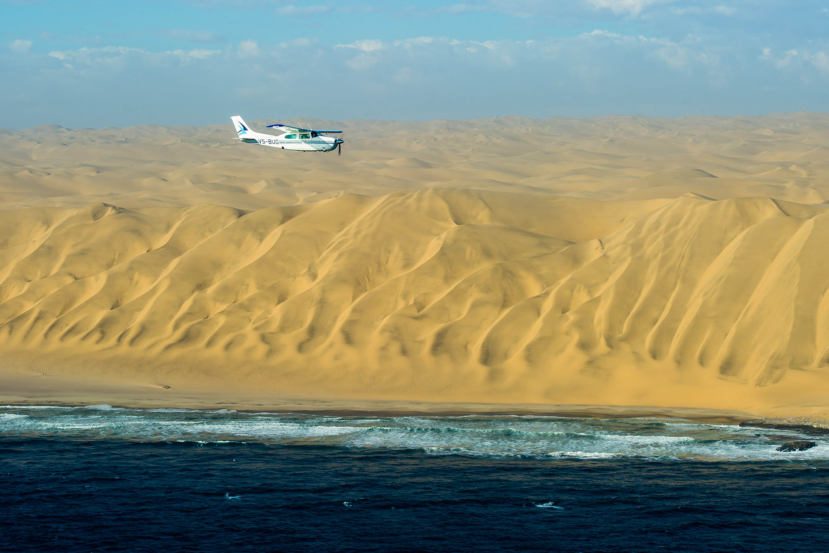 Head out on a catamaran cruise to spot Dolphins | Timbuktu Travel